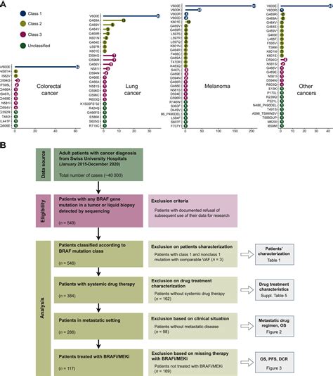 Real World Occurrence Therapy And Outcome Of Patients With Class 2 Or 3 Braf Compared With