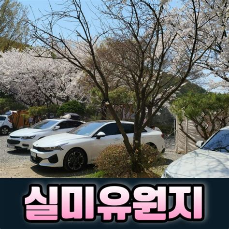 인천 벚꽃 차박 캠핑장 무의도 실미 유원지 네이버 블로그
