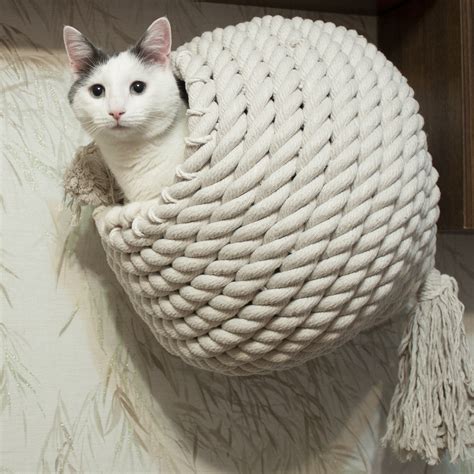 Домик для кошек