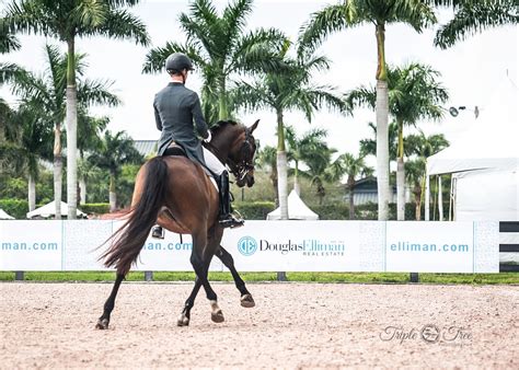 Coming Soon How To Ride The Half Pass