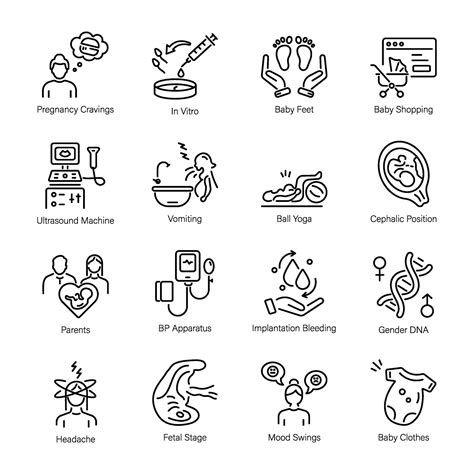 Collection Of Gynaecology Linear Icons 42407144 Vector Art At Vecteezy