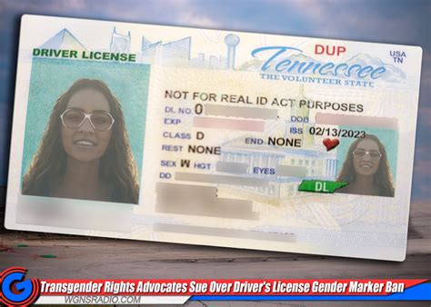 Driver S License Gender X At David Delarosa Blog