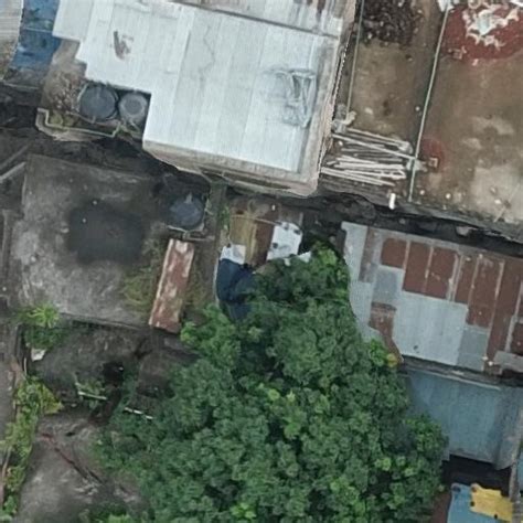 How To Use The Dengue Breeding Site Detection Object Detection Api