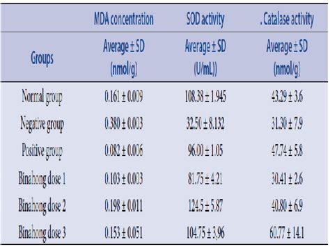 Ibc Tote Specifications Understanding Costs Sizes And 40 Off