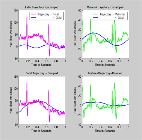 Output Of Fetal Maternal OLM Mechanization Download Scientific Diagram