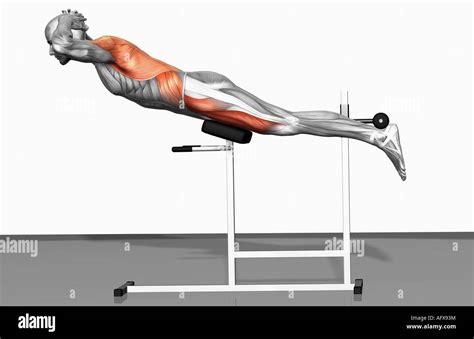 Back Extensions Part 1 Of 2 Stock Photo Alamy