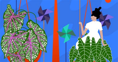 Libra 2019 Horoscope Predictions For Love And Career