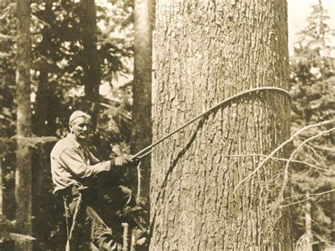 History And Hops Presents Logging Oregons Coastal Forests