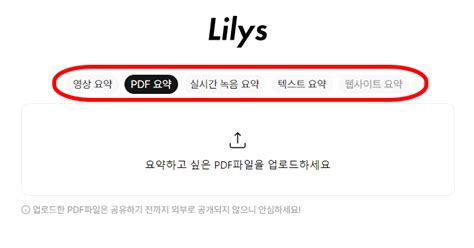 Lilys Ai 릴리스 Ai 유투브 영상 1초만에 요약하기 How To Use