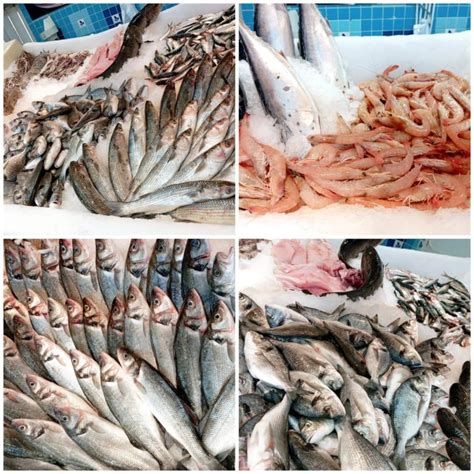 Mohamed Abbassi On Linkedin Mg Maxi Ariana Mg Mg Maxi Ariana