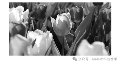 基于多尺度形态学梯度进行边缘检测附matlab代码 Csdn博客