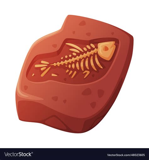 Fossil Obtained By Digging Rested In Soil Vector Image Fossil Obtained By Digging Rested In Soil Vector Image