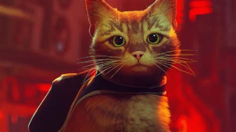 Stray Hit Video Game Is Being Adapted Into Animated Movie