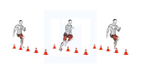 Zigzag Hops Zigzag Plyo Hops