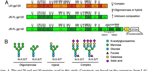 Figure 1 From Hiv 1 N Glycan Composition Governs A Balance Between Dendritic Cell Mediated Viral