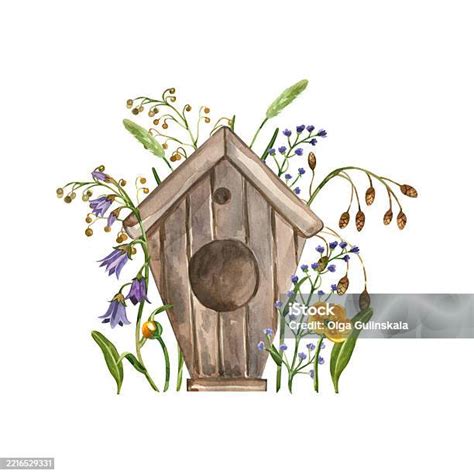 새집 야생화 미나리아재비 티모시 잔디 녹지 시리얼 식물 모든 물체는 수채화로 손으로 칠해져 있습니다 엽서 초대장 포스터에 인쇄하기 위한 수채화 구성 갈색에 대한 스톡 벡터