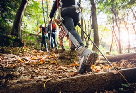 Arthroscopic Chondroplasty Orthopaedic Care Specialists