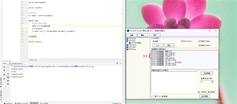 基于tcp的socket编程 多线程群聊tcp的socket编程多线程 Csdn博客