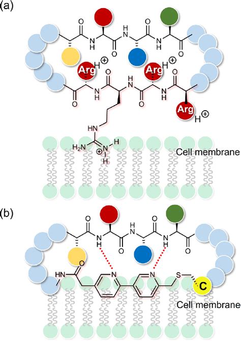 Schematic Representation Of Two Strategies Among Various Others To