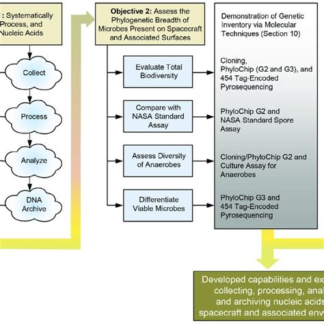 Overview Of The Genetic Inventory Task Objectives Activities And