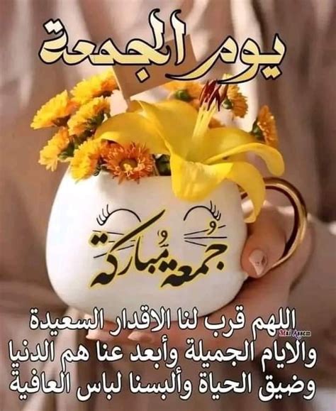 Pin By Waleed Salih On In Arabic Beautiful Flowers Pictures Download Cute Wallpapers Flower
