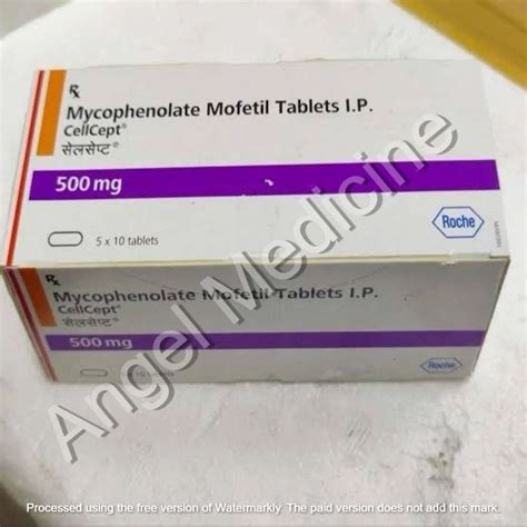 Cellcept 500 Mg Tab At ₹ 500 Stripe In Kolkata Id 2854191194955
