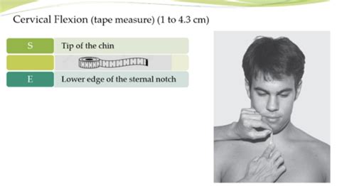 AAOS Normal Values Landmarks Manual Muscle Testing PPT Foundational Rehabilitation Tests And