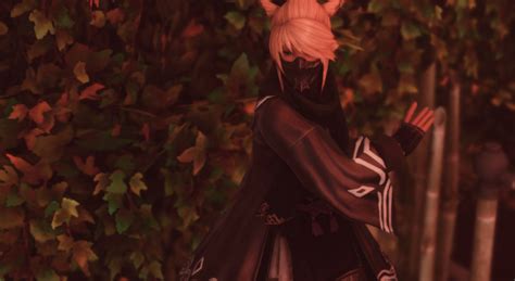 S M Doman Disciple Eorzea Collection