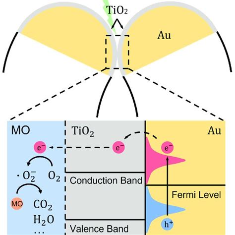 Illustration Of The Hot Carrier Driven Photocatalytic Degradation Of Mo Download Scientific