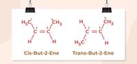 Isomerism Definition Types Structure Examples And FAQs