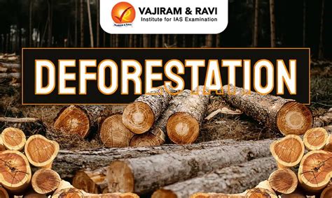 Deforestation Types Causes Effects Measures Government Initiatives