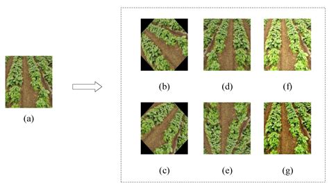 Potato Visual Navigation Line Detection Based On Deep Learning And Feature Midpoint Adaptation