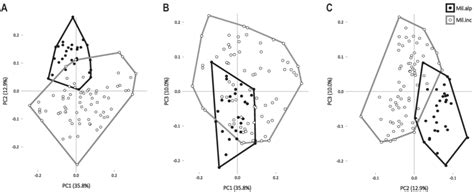 Graphs Illustrating The Relationships Between The First Three Principal