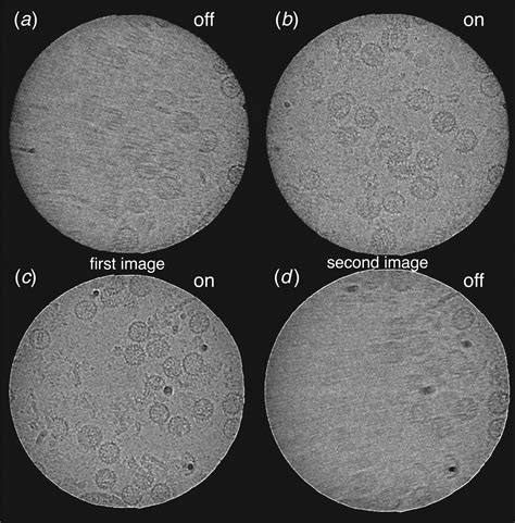 Single Particle Electron Cryomicroscopy Trends Issues And Future