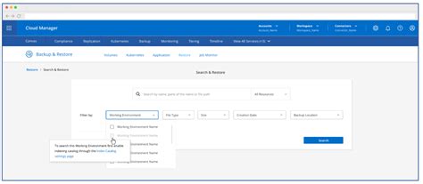 Cloud Backup Service Feature Blog August 22 Updates Netapp Community