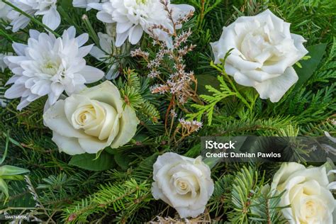 모든 성인의 날을 위한 꽃꽂이 흰 장미와 전나무 나뭇 가지와 혼합 된 흰 번데기의 꽃다발 무덤 장식 구도에 대한 스톡 사진 및 기타 이미지 Istock