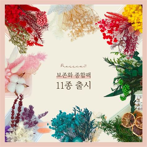 프레스코21 안녕하세요 ”꽃으로 노는 모든 방법 프레스코21입니다 🌸 여러분 최근 프레스코21이 선보이는 다양한 압화 종합팩 즐기셨죠 이번에는 새로운 꽃놀이를
