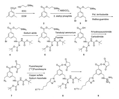 Prosthetic Compounds For Labeling Internalizing Biomolecules Eureka