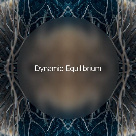 Dynamic Equilibrium → Term