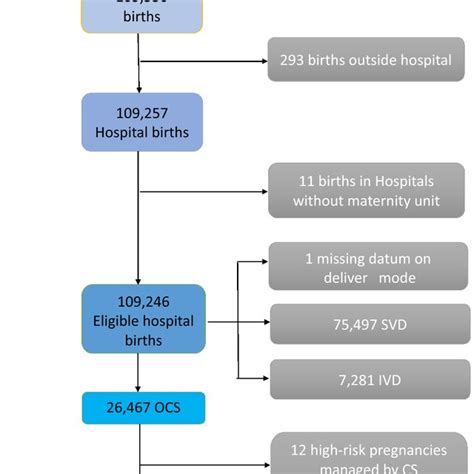 Flowchart Displaying The Criteria Applied To The Initial Database To