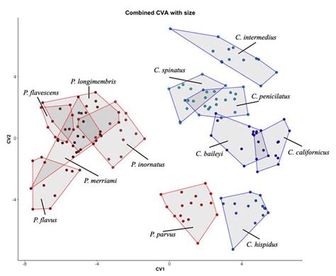 Distinguishing Species With Geometric Morphometrics UO Vertebrate Paleontology Lab