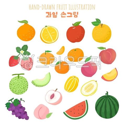 과일 음식 손그림 Fruit 오렌지 사진이미지일러스트캘리그라피 일러스트레이터 푸르릉작가