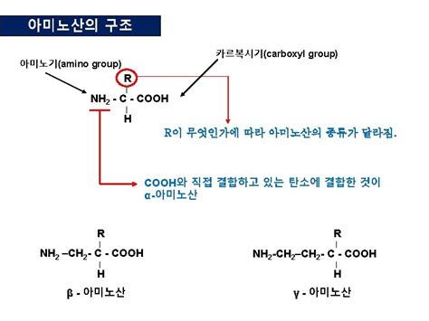 Cellulose And Protein Cellulose Polyhydroxy Aldehyde Oh 2