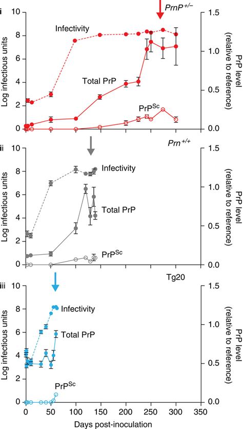 Levels Of Total Prp And Prpsc In The Brain During Prion Infection
