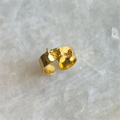 Golden Brass Dangling Coin Ring At ₹ 600piece In Thane Id 2856384348662