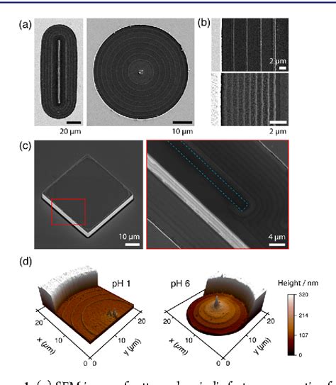 Figure 1 From Facile Rapid And Large Area Periodic Patterning Of