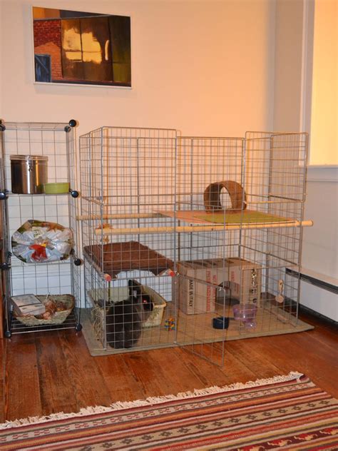 Diy Indoor Rabbit Cage Diy Ceiling Makeover