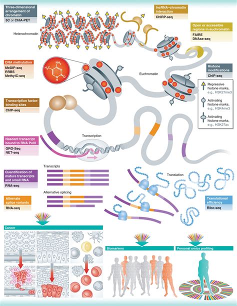 Sequencing Technologies And Their Uses Various Ngs Methods Can