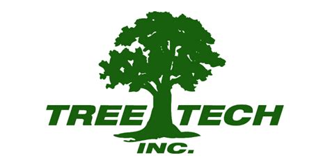 Summer Heat Take Steps Now To Protect Your Trees Summer Heat Take Steps Now To Protect Your Trees