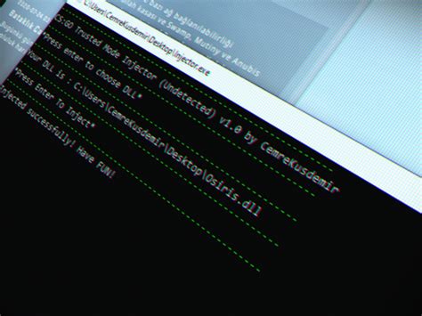 Roblox Injector Finalkjlkj